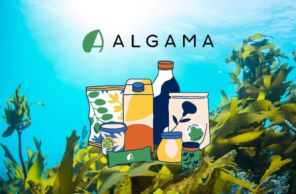 MAKE YOUR DIET HEALTHIER With Algae! - Less Saves The Planet