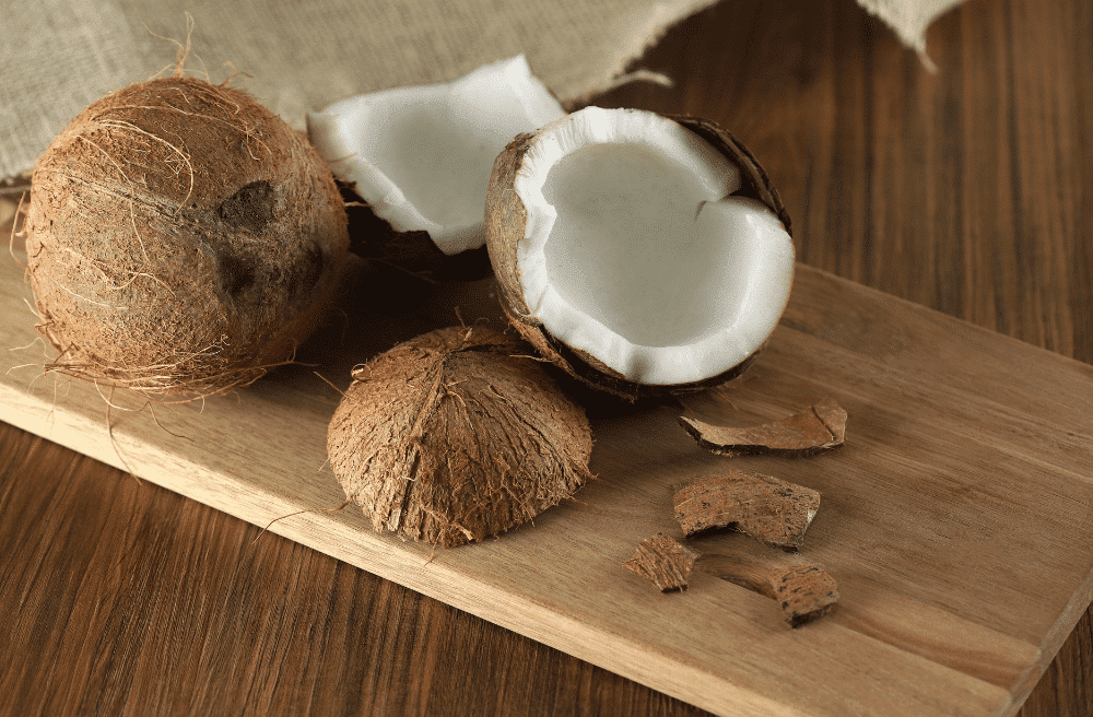 Des Noix De Coco Pour Des Palettes écologiques - Less Saves The Planet