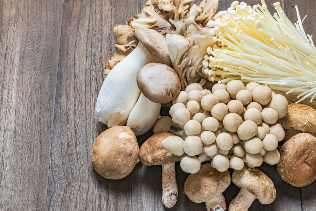 Champignon, 1 super aliment | Less Saves The Planet