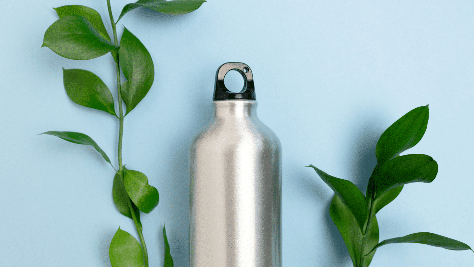 How To Choose An Ecological Water Bottle ? - LSP - 1