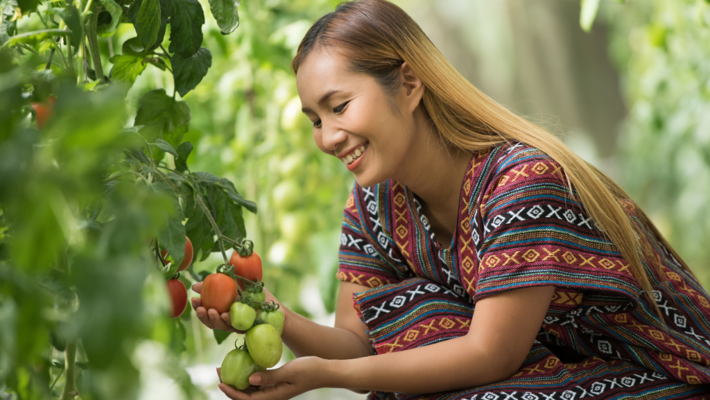 Pascal Poot : cultiver son potager sans irrigation c’est possible ...