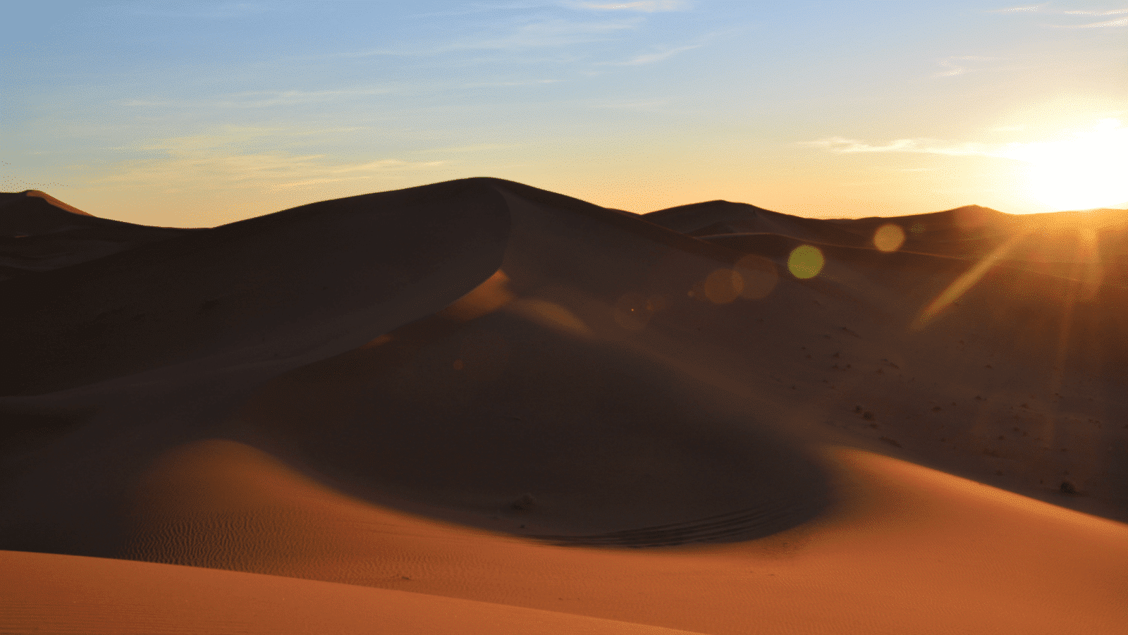 Sahara Sand Fertilises The Amazon Rainforest! - LSP - 1